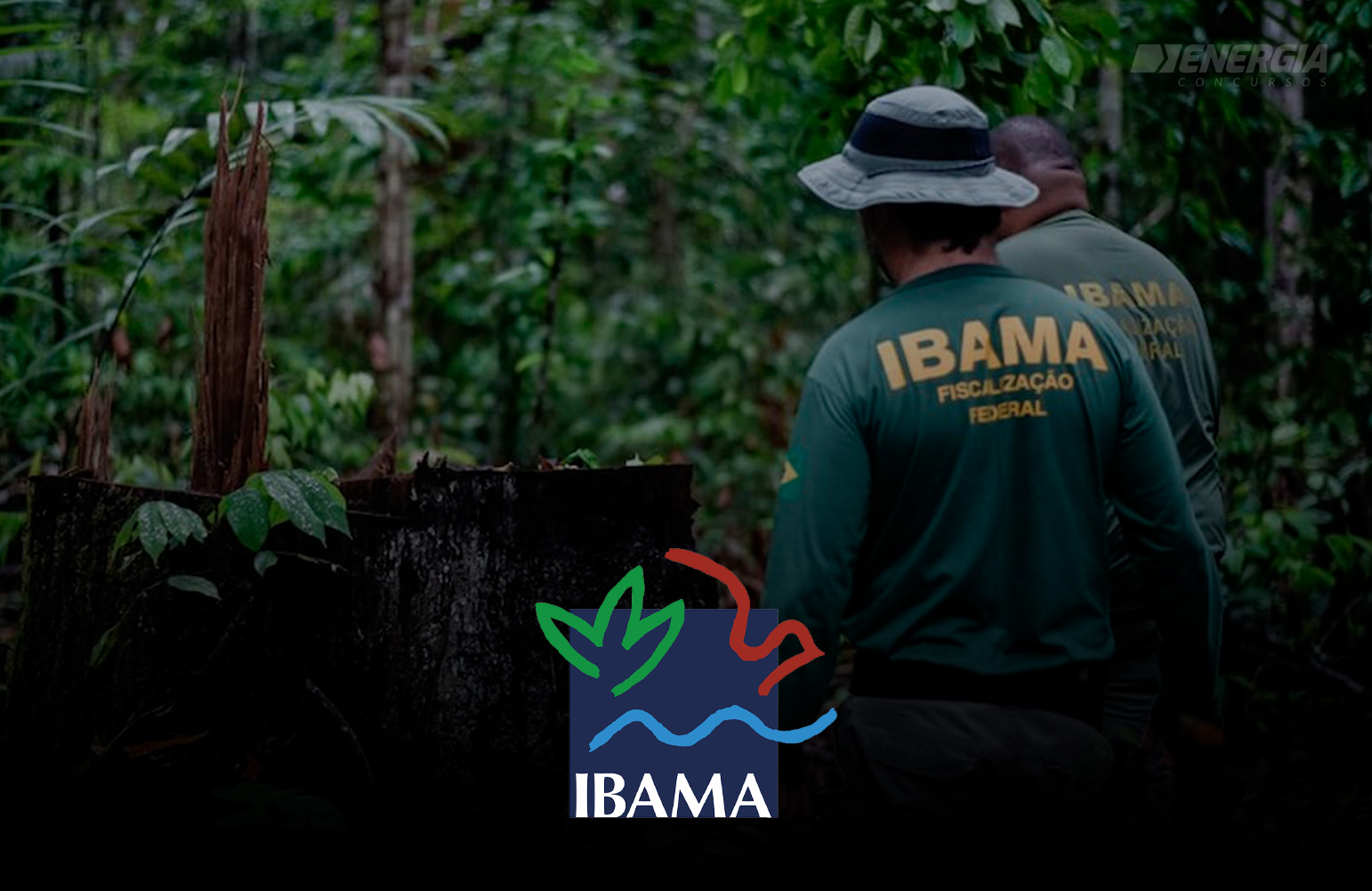 Cursos | Loja Virtual - Energia Concursos